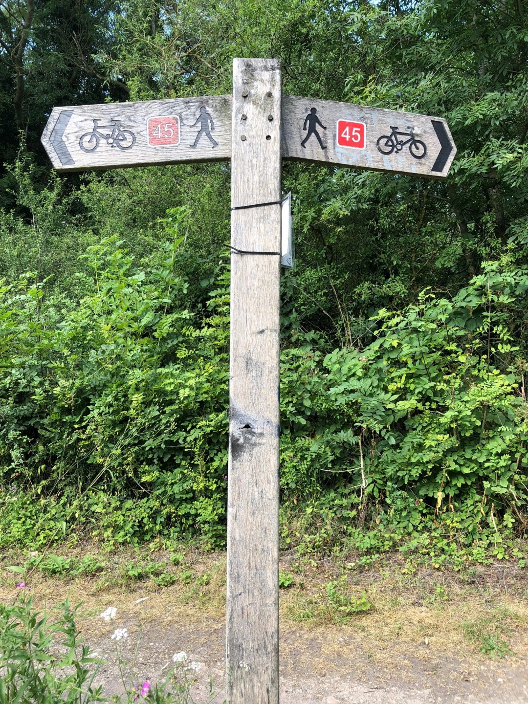 The River Ray Parkway Part 2 - Born Again Swindonian