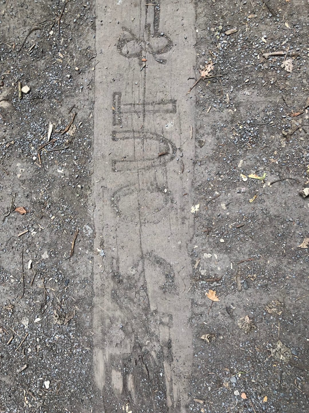 The River Ray Parkway Part 2 - Born Again Swindonian