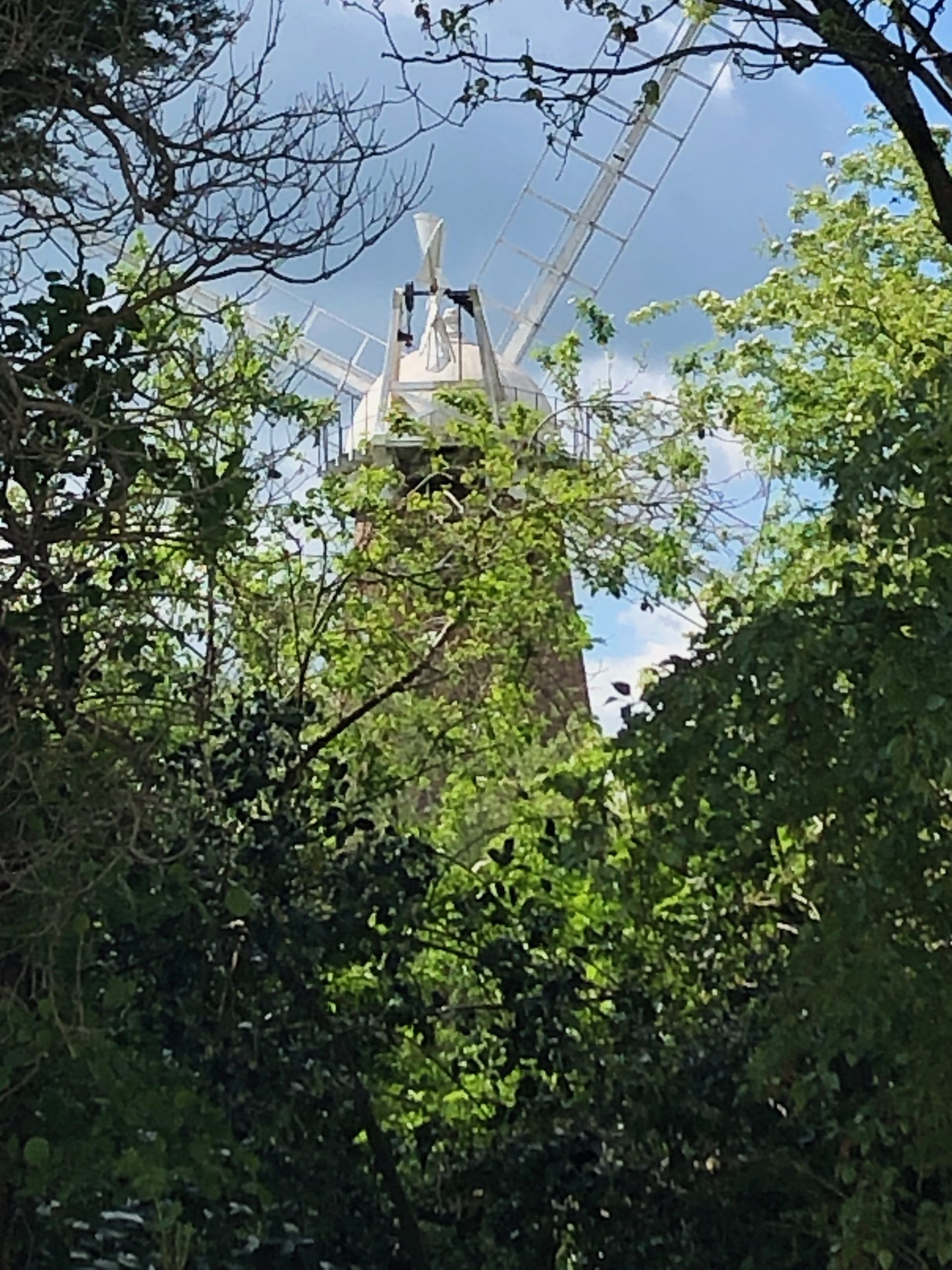 4. The Windmill Hill Windmill - Born Again Swindonian